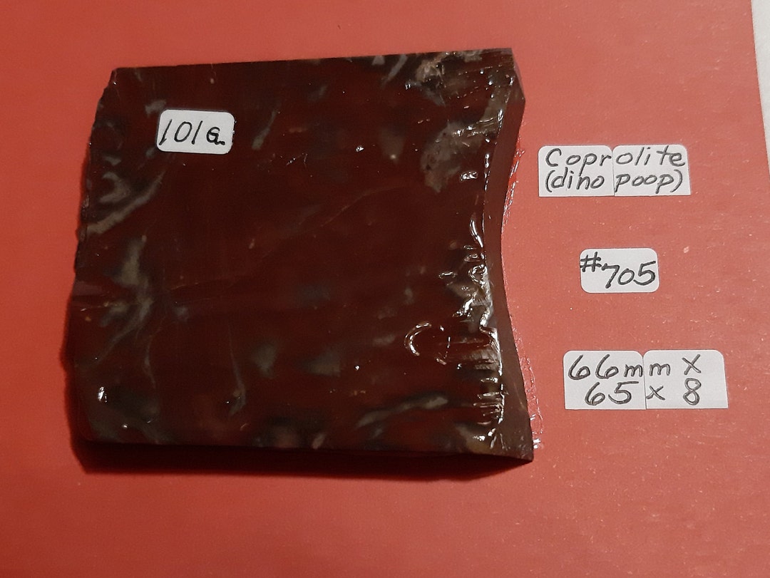 Dinosaur Poop, Coprolite, Coprolite Slab for Cabochons, Jewelry Making ...