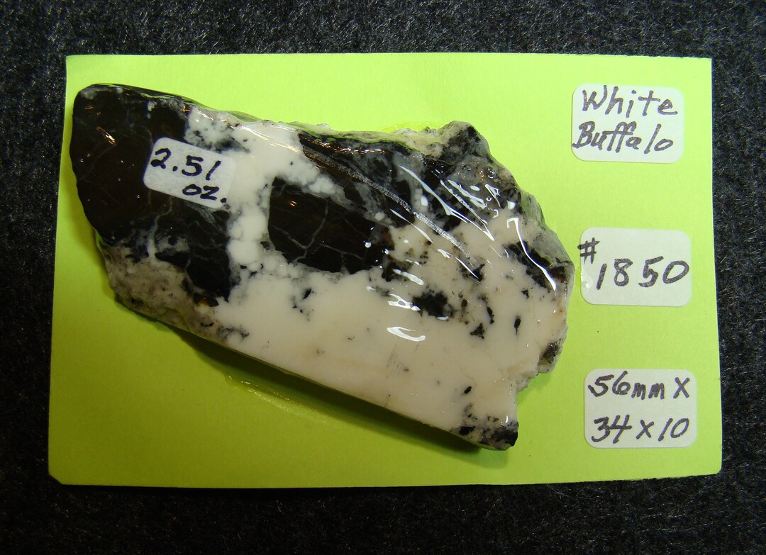 Rough White Buffalo, White Buffalo Slab for Cabochons, Jewelry Making ...