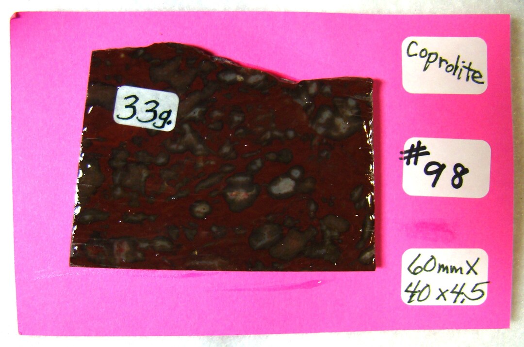 Dinosaur Poop, Coprolite, Coprolite Slab for Cabochons, Jewelry Making ...