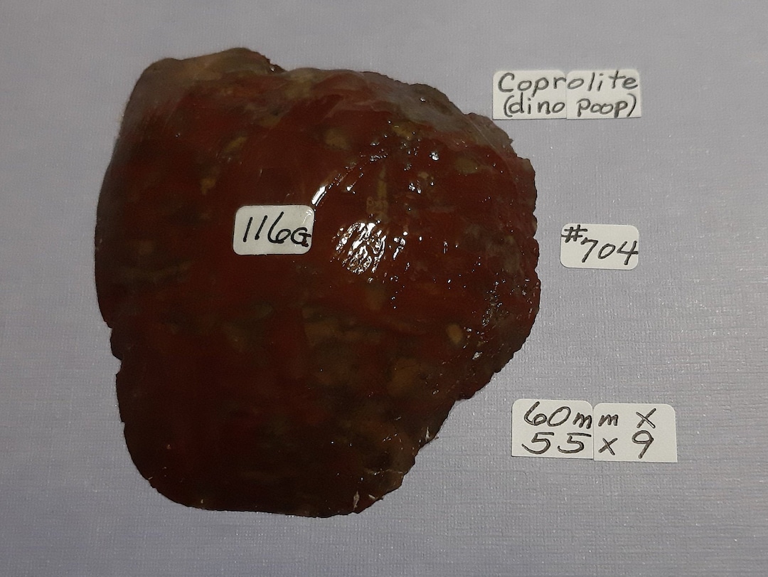 Dinosaur Poop, Coprolite, Coprolite Slab for Cabochons, Jewelry Making ...