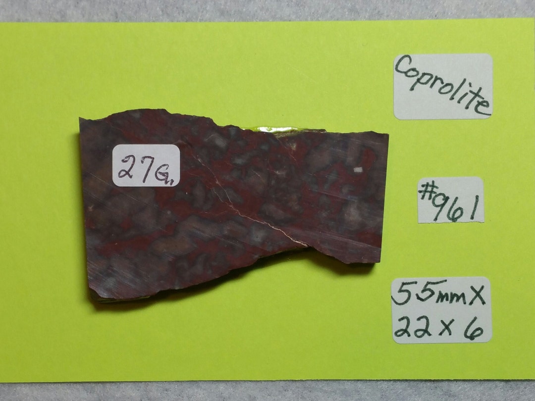 Dinosaur Poop, Coprolite, Coprolite Slab for Cabochons, Jewelry Making ...