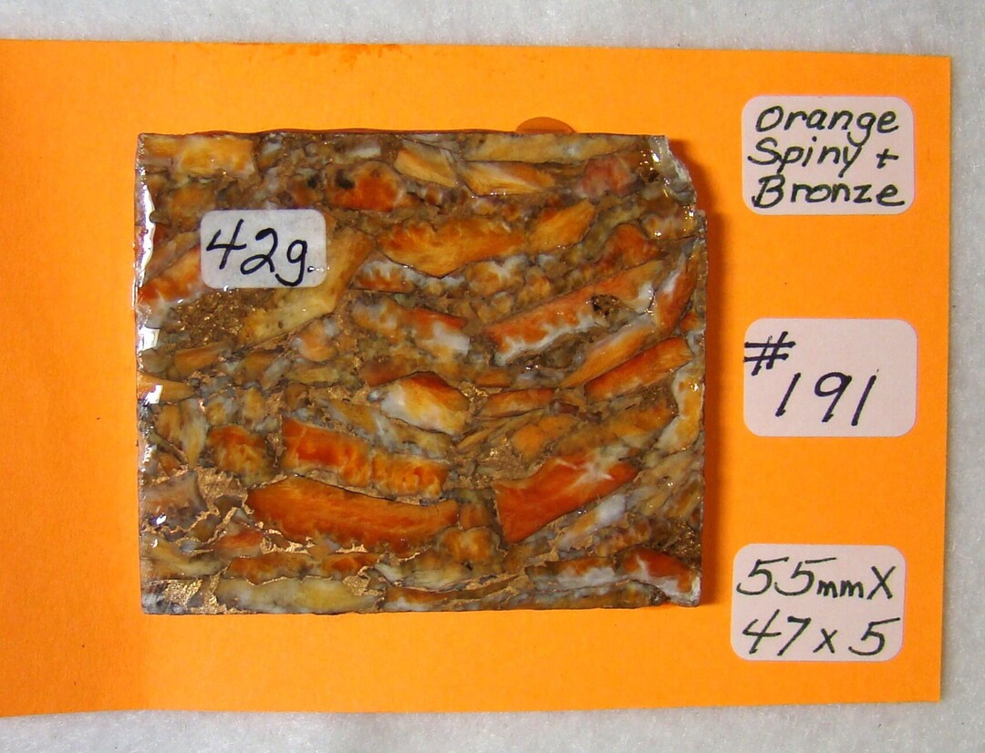Orange Spiny Coral, Orange Spiny Slab for Cabochons, Jewelry Making ...