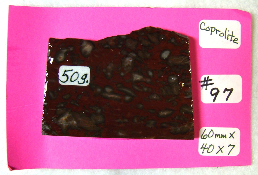 Dinosaur Poop, Coprolite, Coprolite Slab for Cabochons, Jewelry Making ...