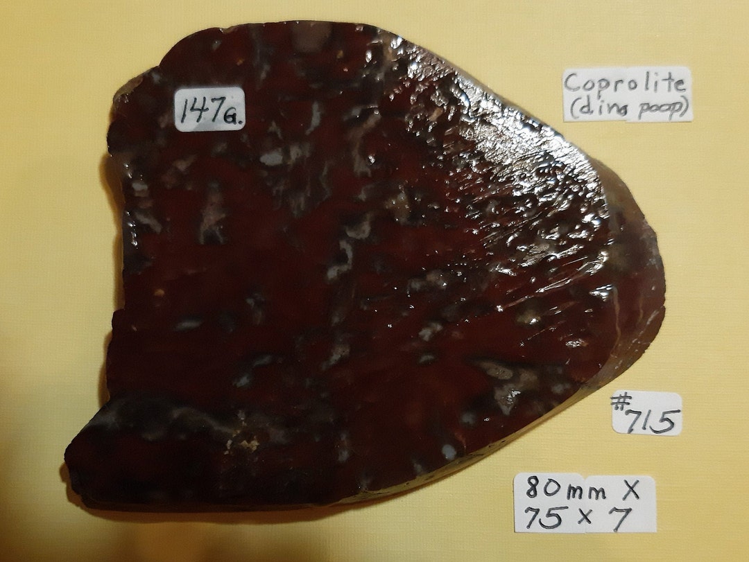 Dinosaur Poop, Coprolite, Coprolite Slab for Cabochons, Jewelry Making ...