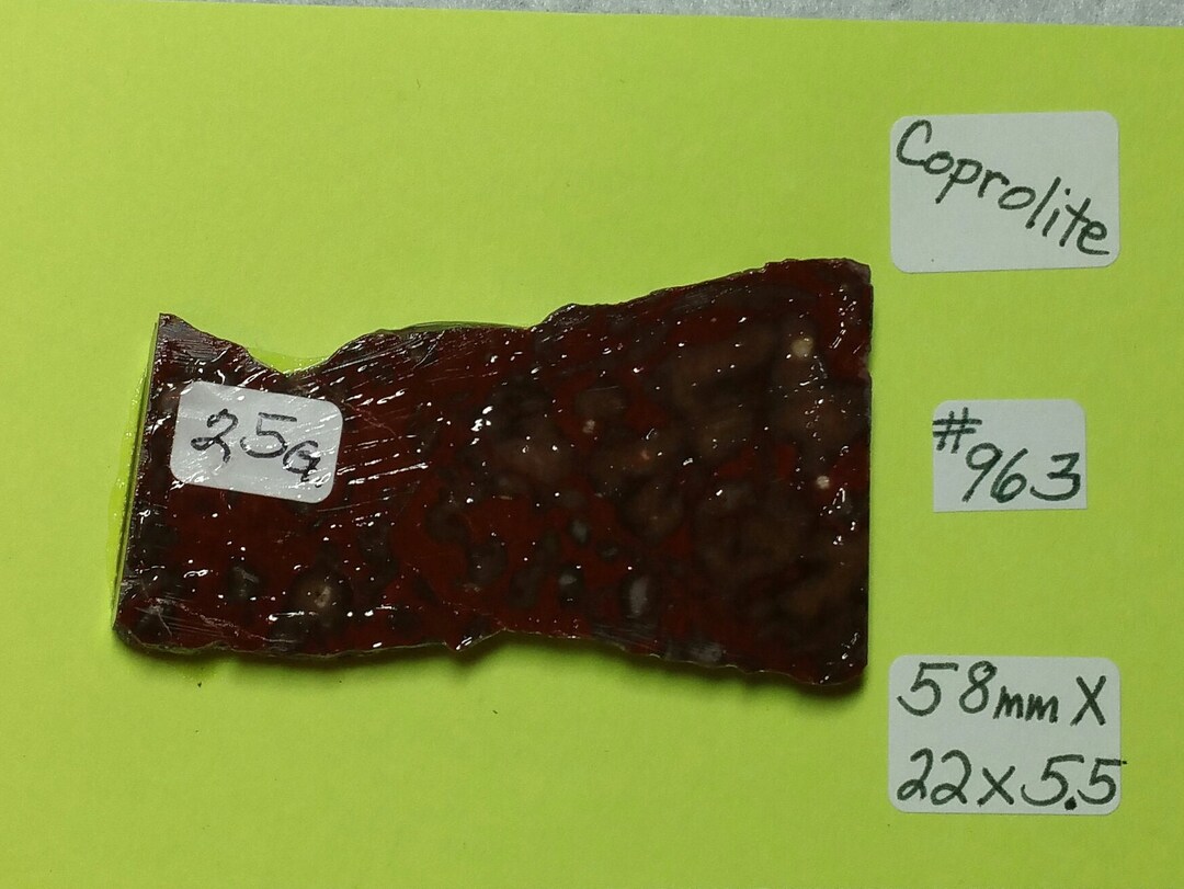 Dinosaur Poop, Coprolite, Coprolite Slab for Cabochons, Jewelry Making ...