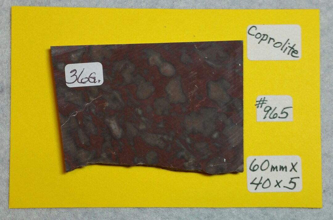 Dinosaur Poop, Coprolite, Coprolite Slab For Cabochons, Jewelry Making ...