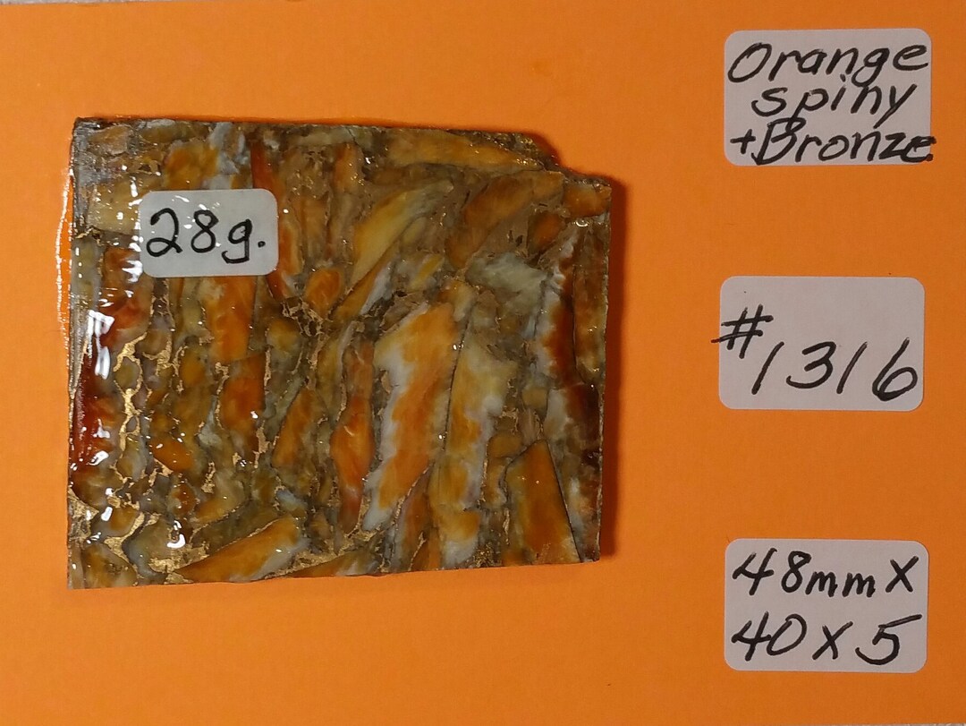 Orange Spiny Coral, Orange Spiny Slab for Cabochons, Jewelry Making ...