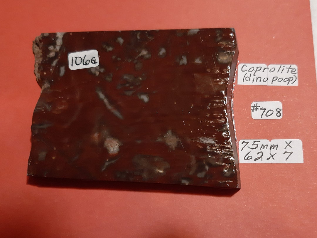 Dinosaur Poop, Coprolite, Coprolite Slab for Cabochons, Jewelry Making ...