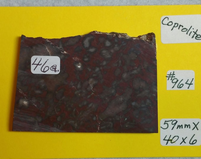 Dinosaur Poop, Coprolite, Coprolite Slab for Cabochons, Jewelry Making ...