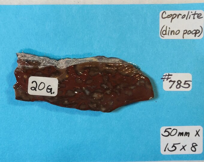 Dinosaur Poop, Coprolite, Coprolite Slab for Cabochons, Jewelry Making ...