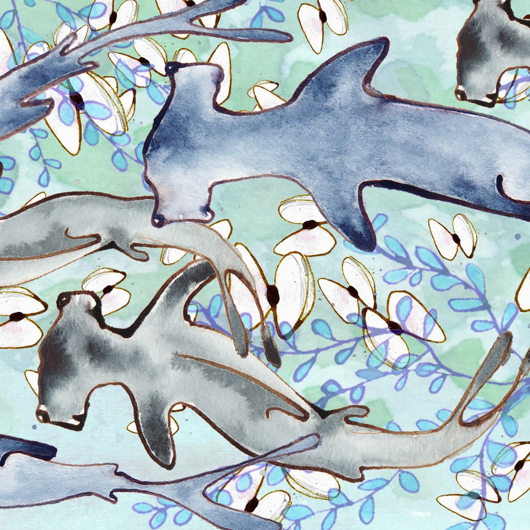 A3 Sharks, Deep Water, Beachcombing, Shells, Driftwood, Sea Life, Fine ...