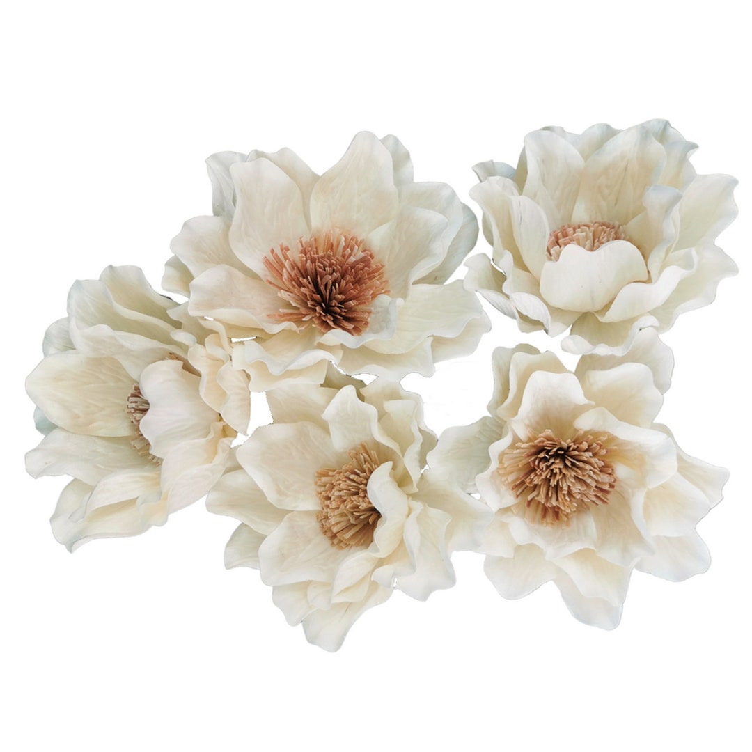 5 Rare Grandiflora Lily Whie Pink 6 Sola Flower With Reed Diffuser for Large Room by Plawanature ...