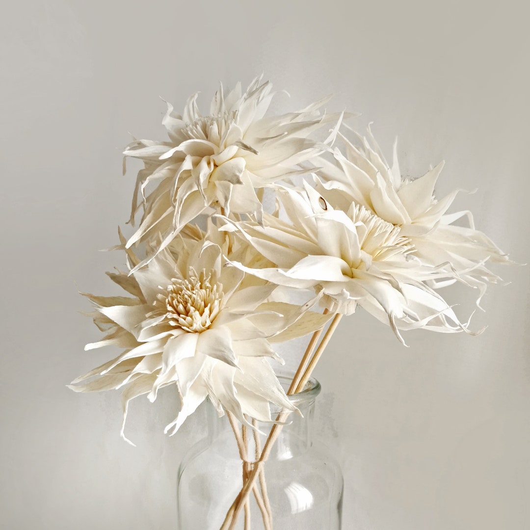 5 Dahlia White Perfection Sola Flower Reed Diffuser 3" for Home ...