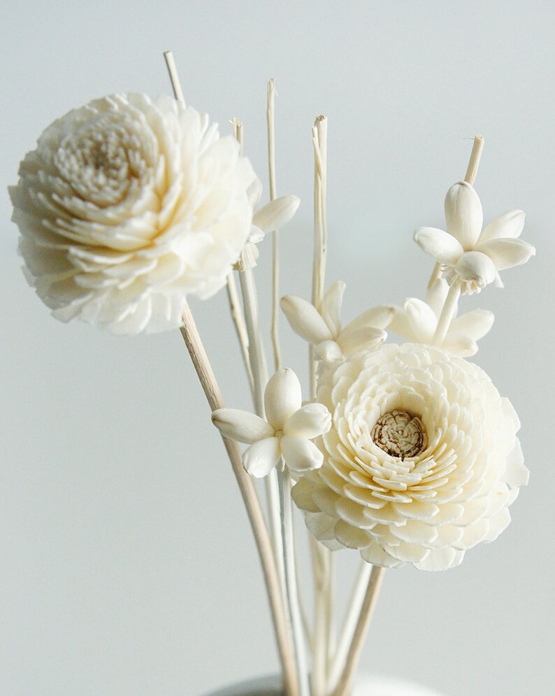 2 Sets of Reed Diffuser With Popular Sola Wood Flower - Etsy
