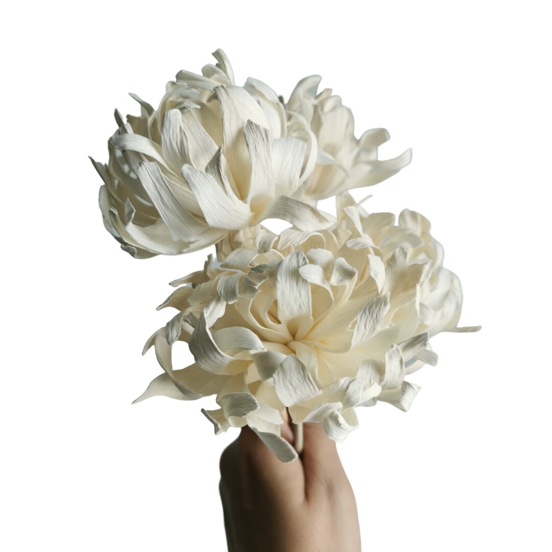 5 Spider Lilies Sola Flower Reed Diffuser 3 for Home Fragrance by ...