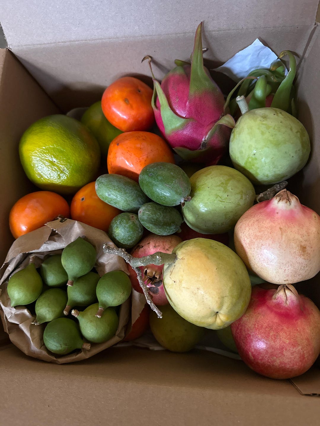 Mixed Fruit Gift Box for Holidays, All Organically Grown - Etsy