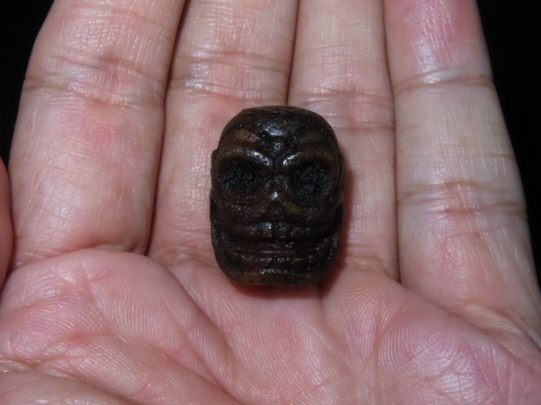 Nepal Tibet Buddhist Carved Citipati Skull Head Kapala Bone Talisman ...