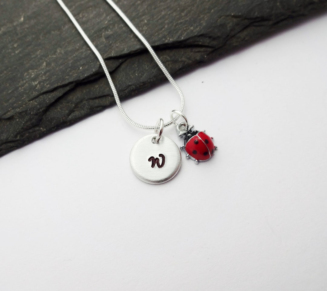Ladybird Necklace, Initial Necklace, Charm Necklace, Ladybug Necklace ...