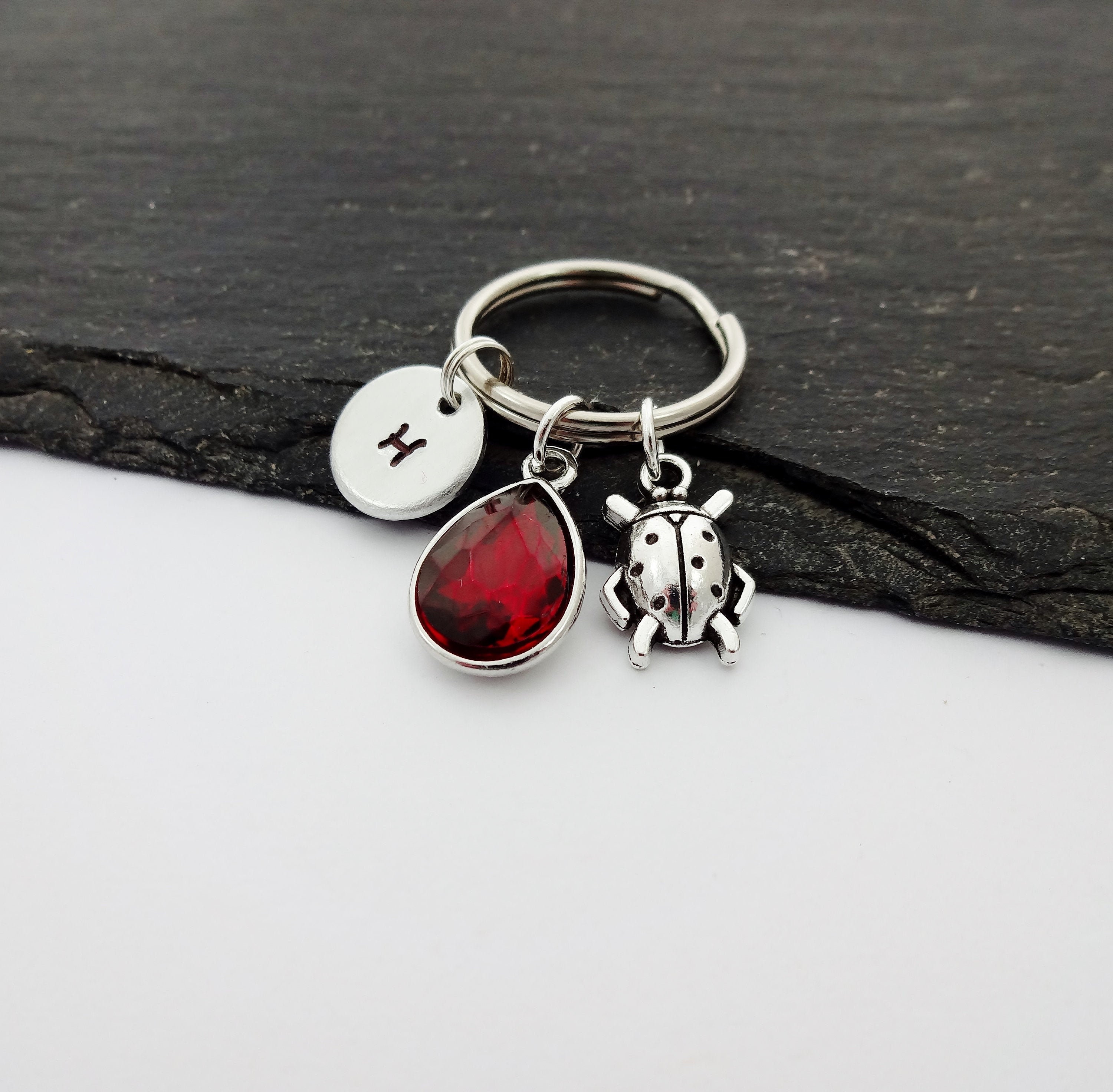 Ladybird Keyring Ladybird Gift Ladybird Keychain Hand - Etsy UK