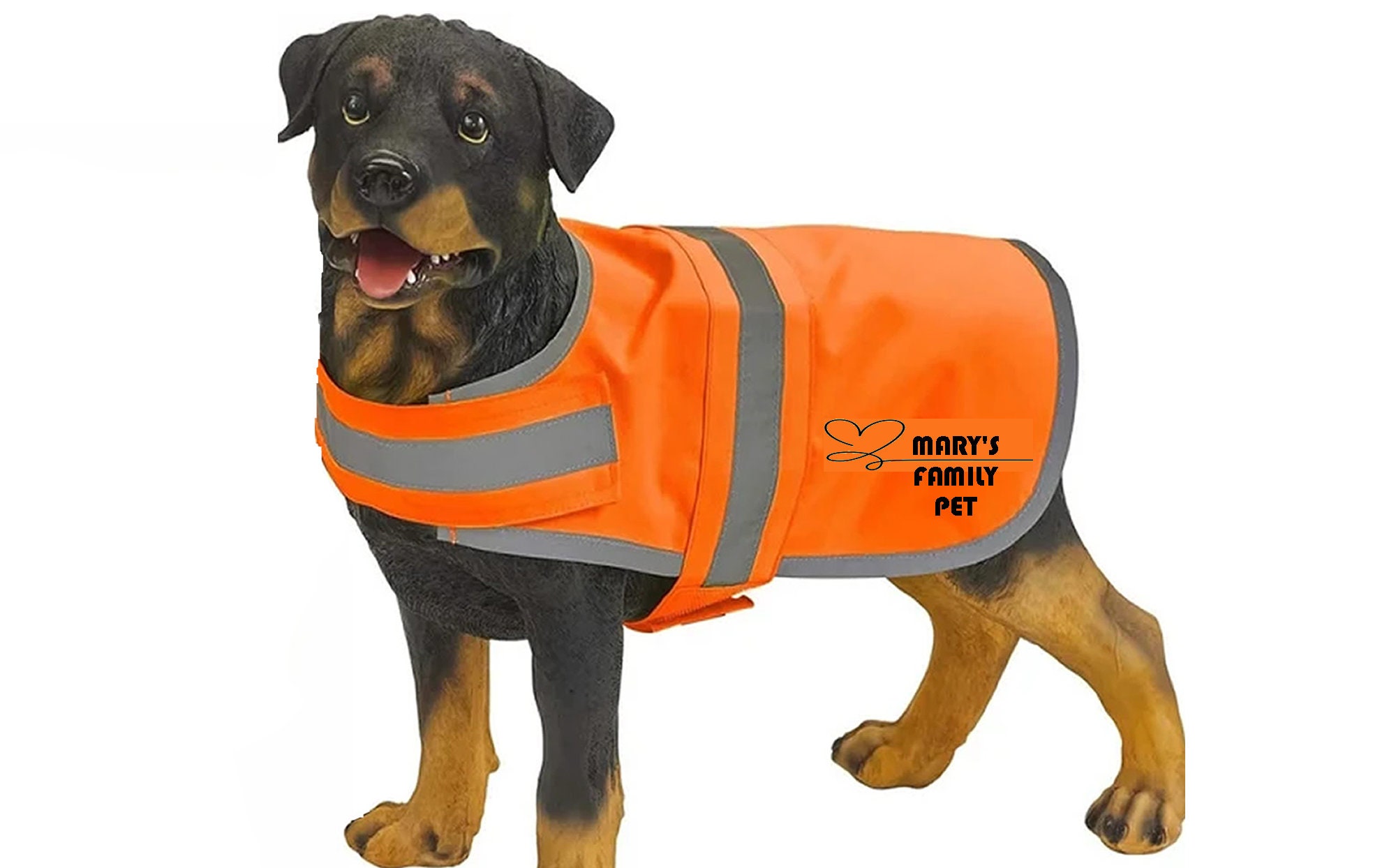 Personalized Hi Viz Dog Coat: Reflective Safety Vest, Custom Pet Name ...