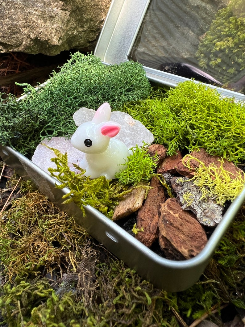 Moss Terrarium for Kids Terrariums, Preserved Moss, Plant Gifts for ...
