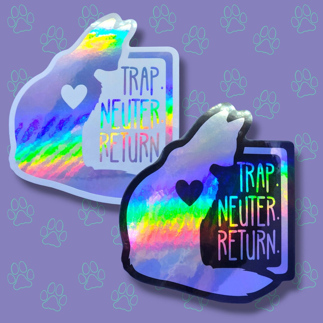 Cat-cute-holographic Sticker - Trap Neuter Return - TNR Support ...