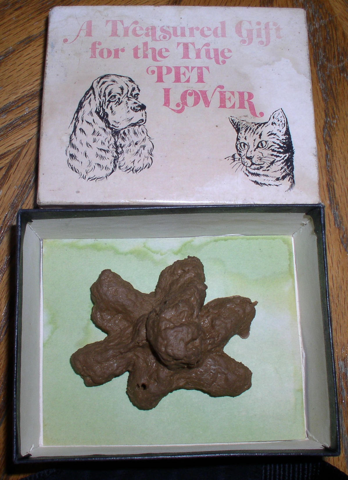 Fake Dog or Cat Poop :"a Treasured Gift for the True Pet Lover" - Gag ...