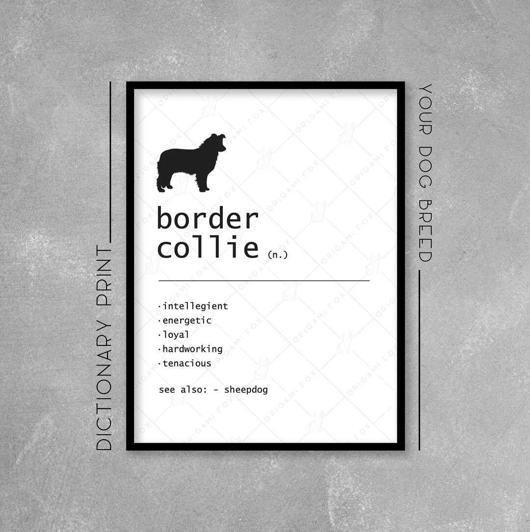 BORDER COLLIE Dog Dictionary Print - Typography Print - Wall Art - Dog ...