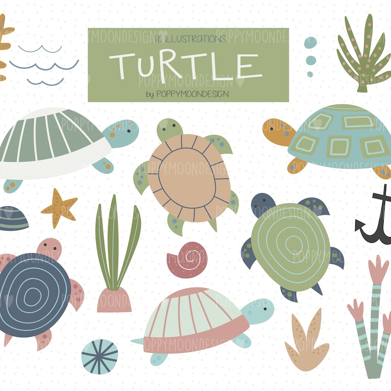 Plant Turtle Shell - Etsy UK