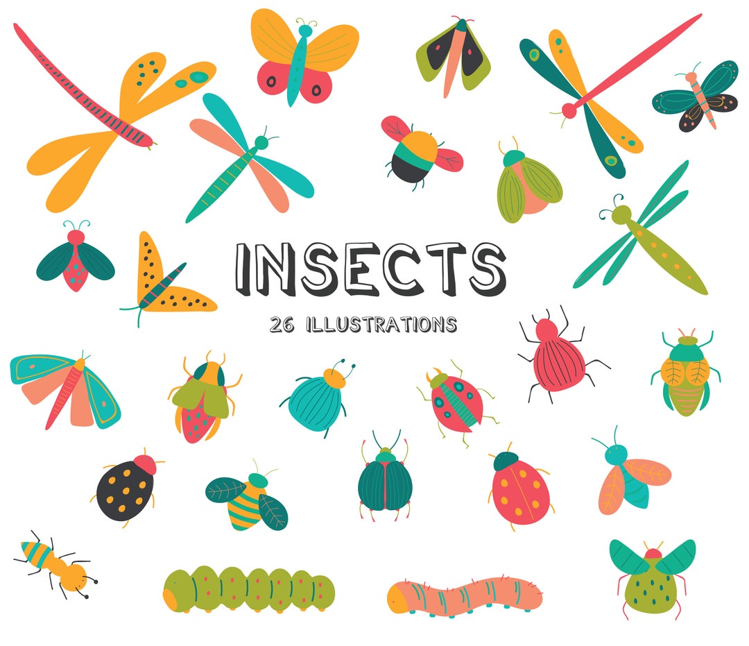 Insects, Bugs, Colourful, Digital Clip Art Set - Etsy