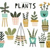 House Plants, Botanical, Digital Clip Art Set - Etsy