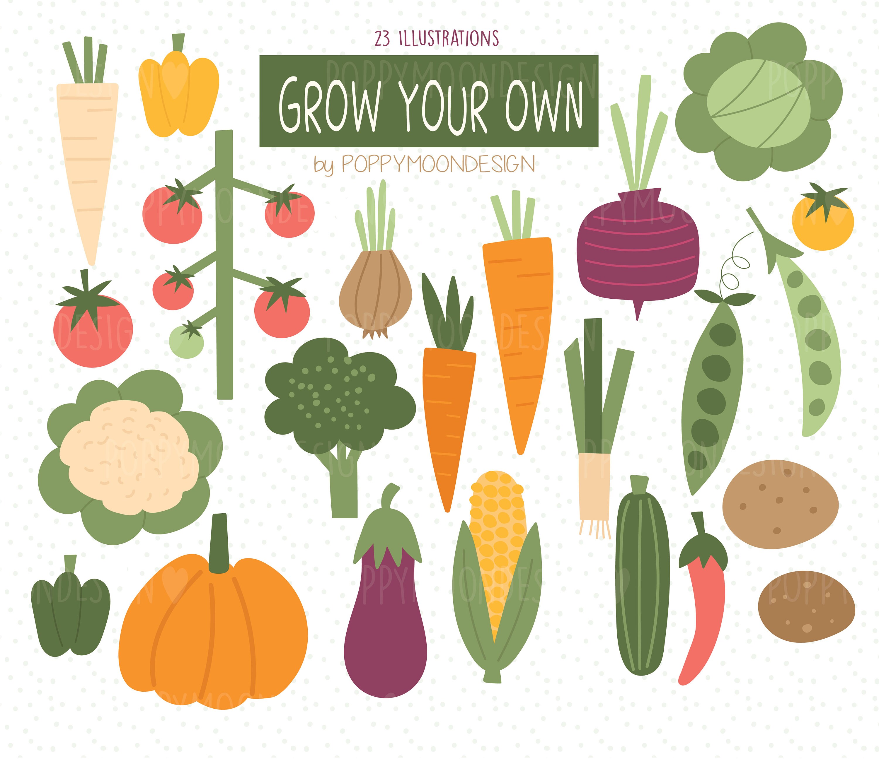 Clipart Vegetables Garden