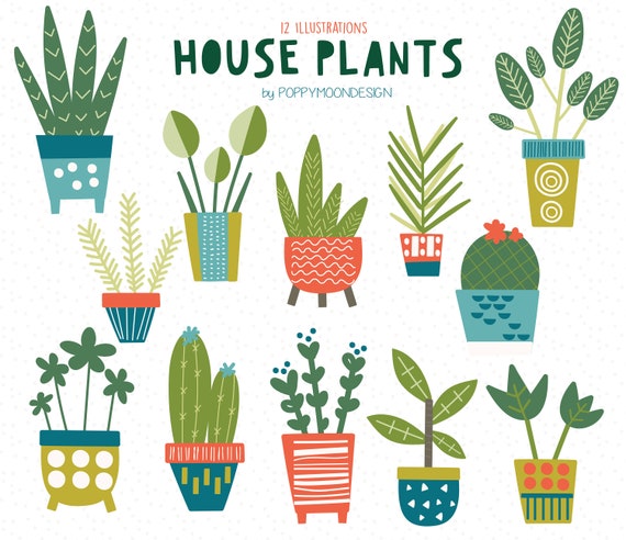 House Plants Botanical Digital Clip Art Set | Etsy UK