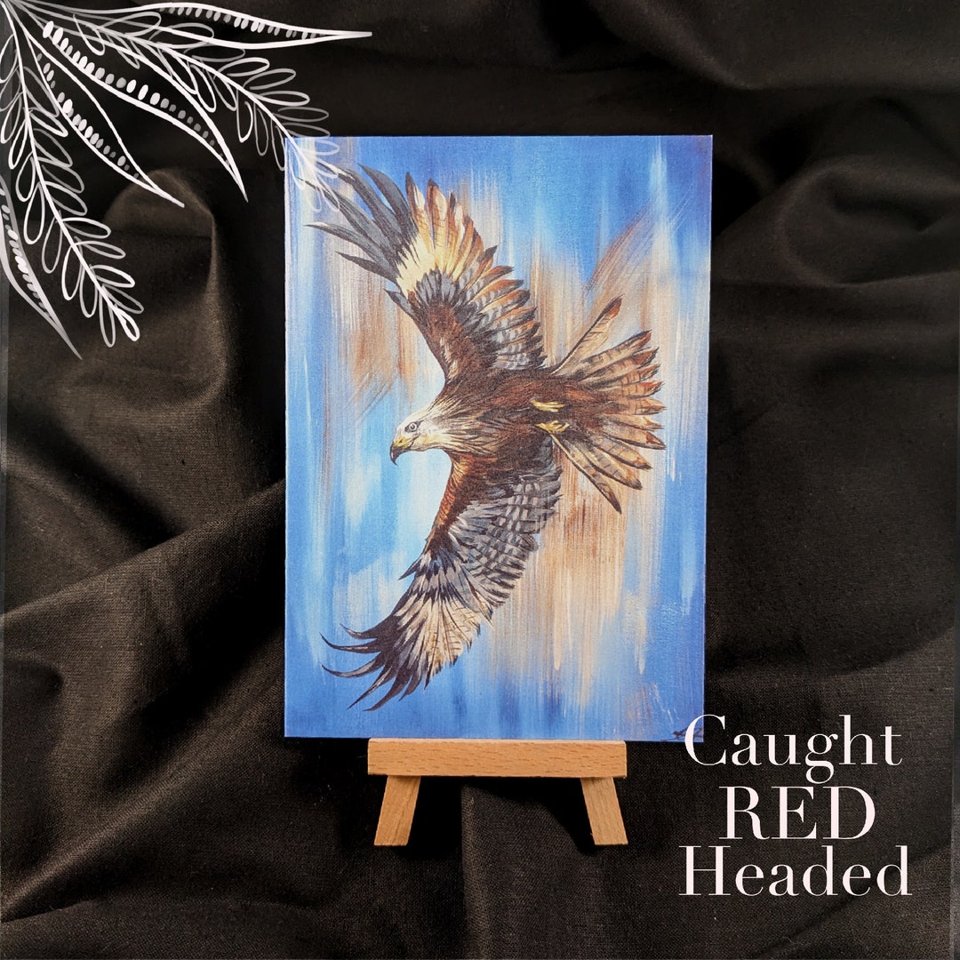 Red Kite Art Print Greeting Card Bird Lover Card All Occasions Card ...
