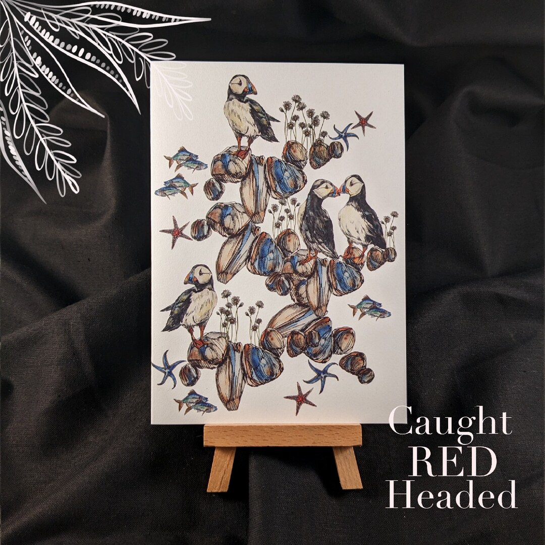 Puffins Art Print Greeting Card Puffins Card Puffin Lovers Card All ...