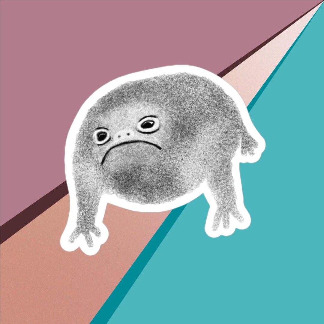 VINYL STICKER Weird Frog Folk Art Goblincore Cape Rain Frog Birthday ...