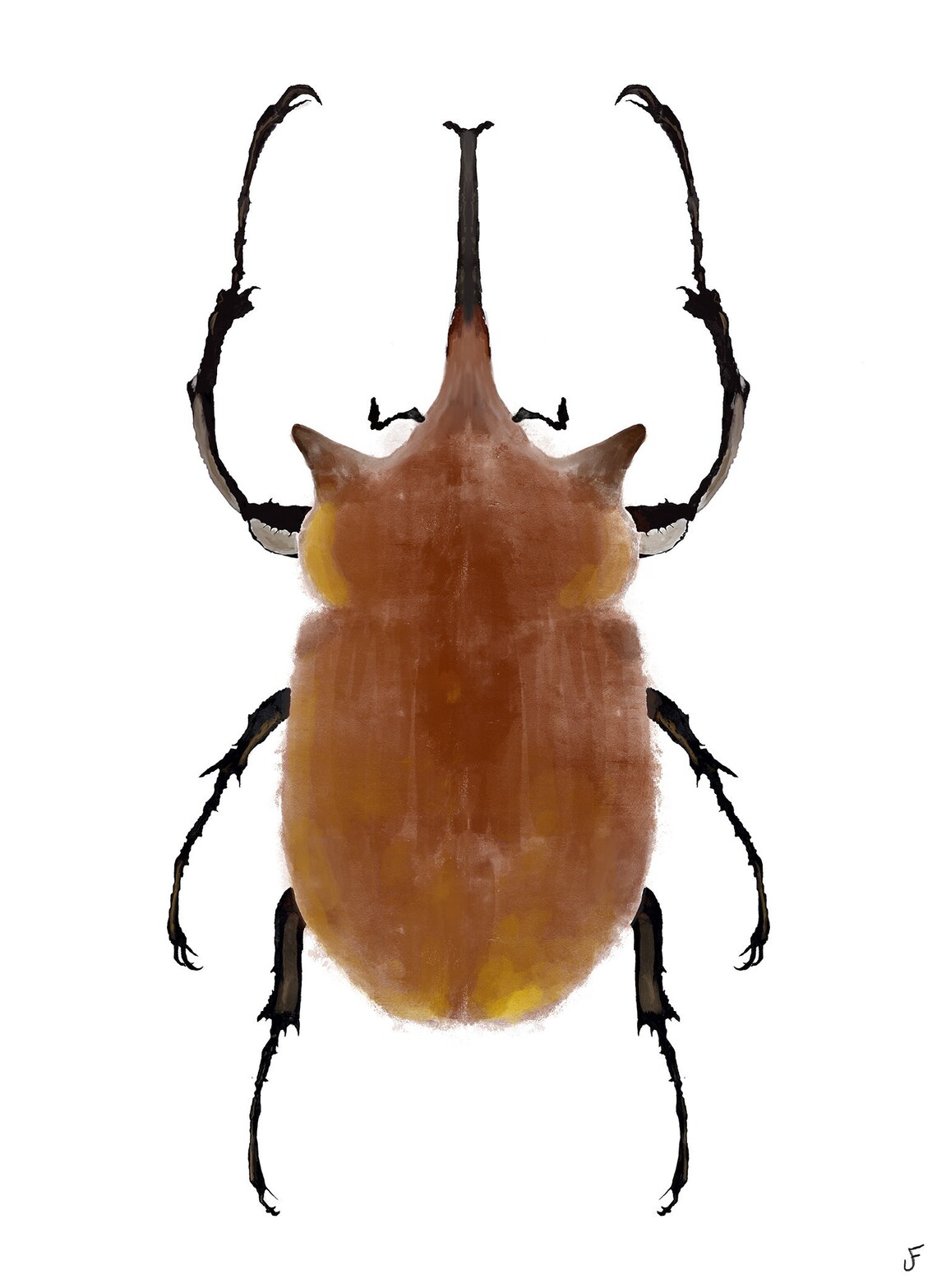 8x10 ART PRINT Beetle Folk Art Painting Wall Art Bugs - Etsy