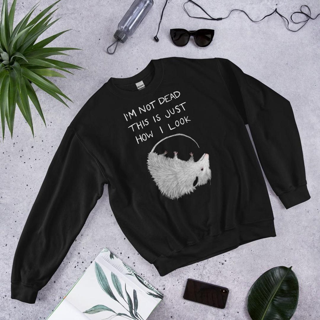 CLASSIC SWEATSHIRT Not Dead Possum Jumper Sweater Cottagecore Dark ...
