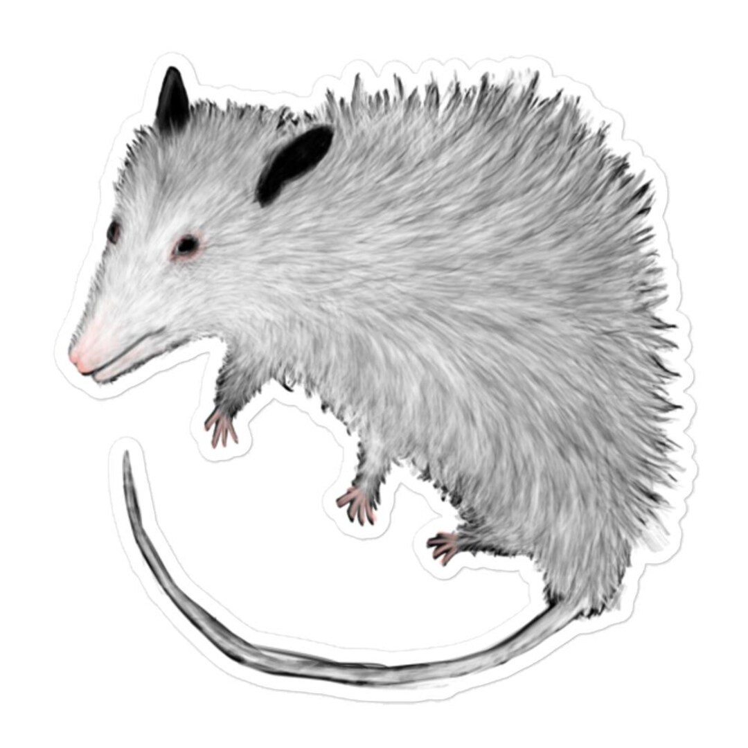 VINYL STICKER Possum Cell Phone Stickers Car Decal Water Bottle Dark ...