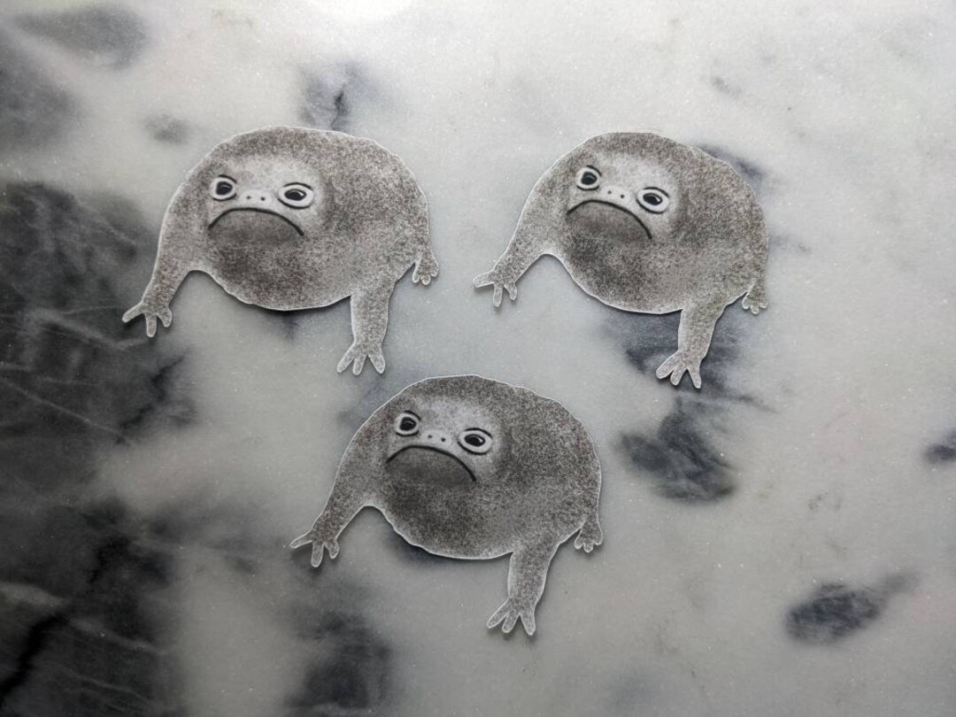 PAPER STICKERS Frog Folk Art Goblincore Sticker Dark Academia Gothic ...