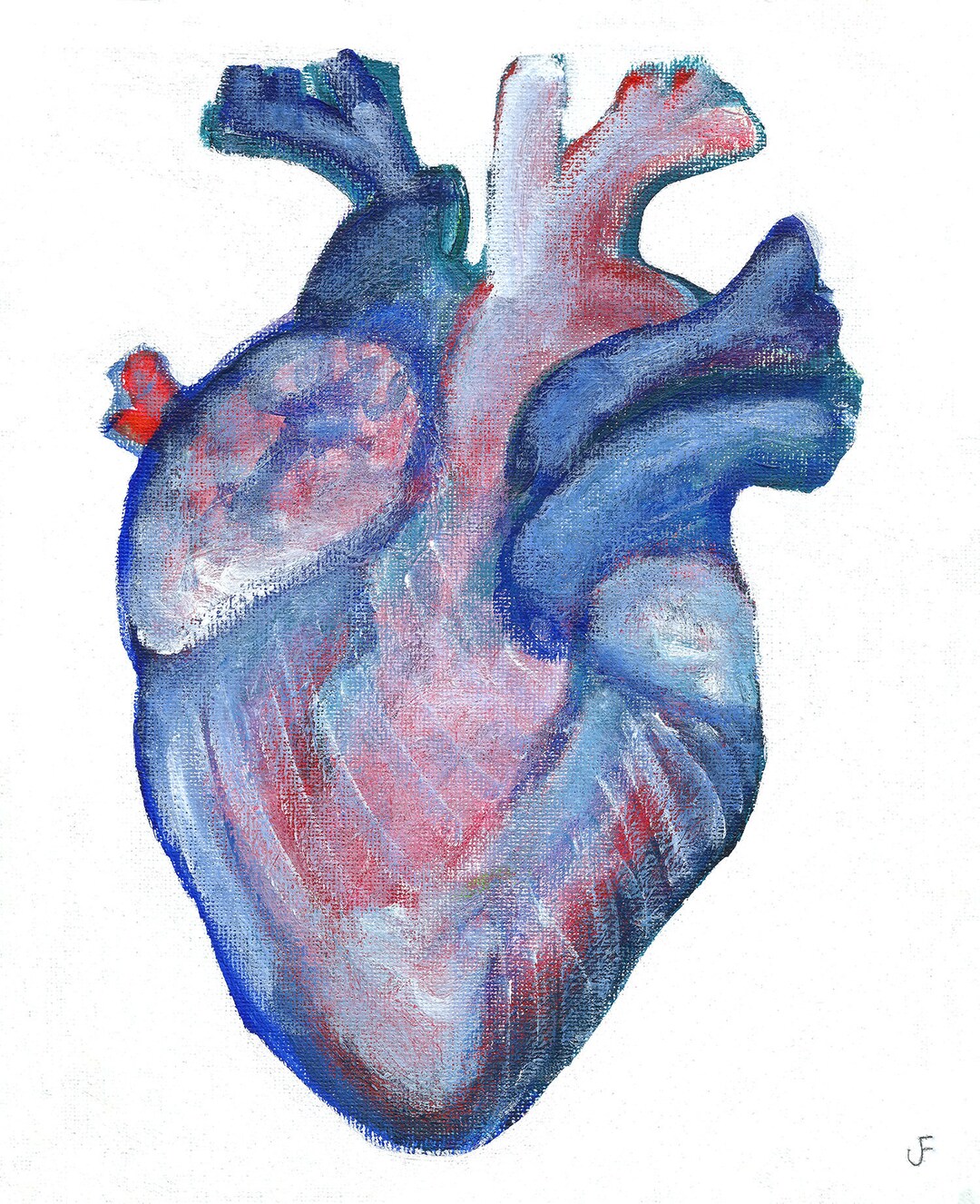 8x10" ART PRINT Anatomical Human Heart Folk Painting Canada Wall Art ...