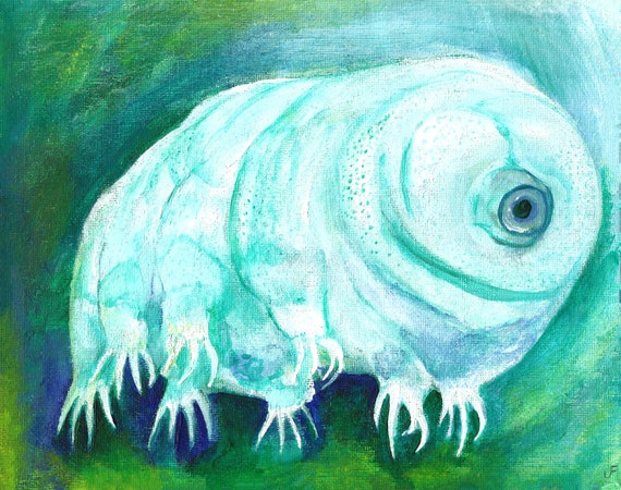 8x10 ART PRINT Tardigrade Painting Housewarming Gifts | Etsy