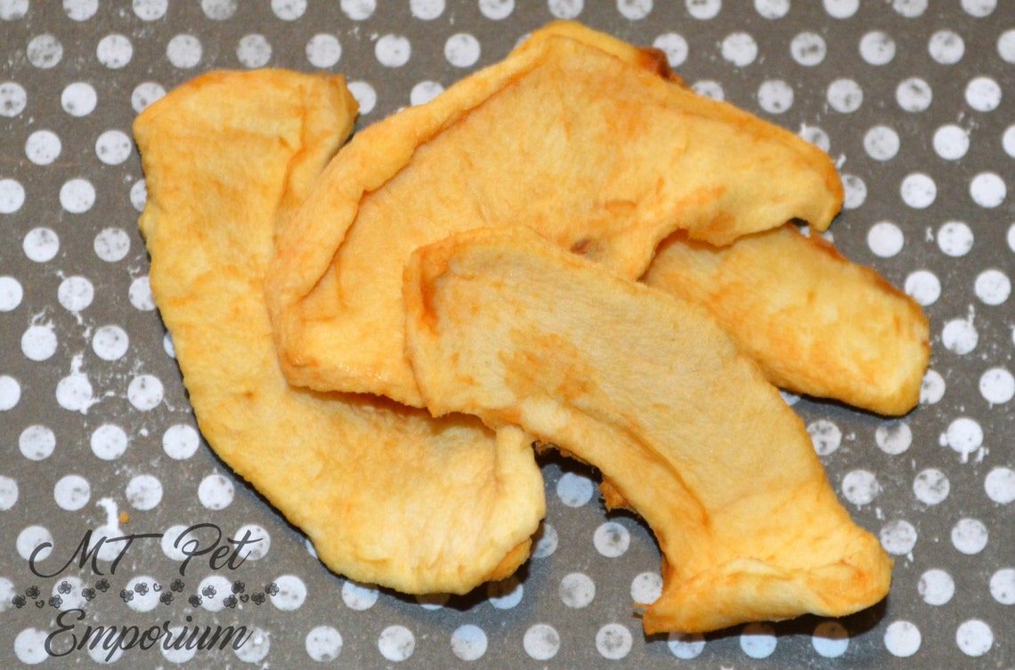 Apple Slices Hermit Crab Food - Etsy