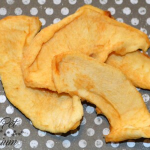 Apple Slices Hermit Crab Food - Etsy