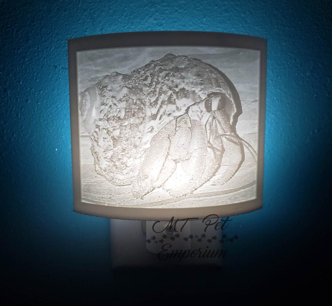 Hermit Crab Night Light 3D Printed Lithophane - Etsy
