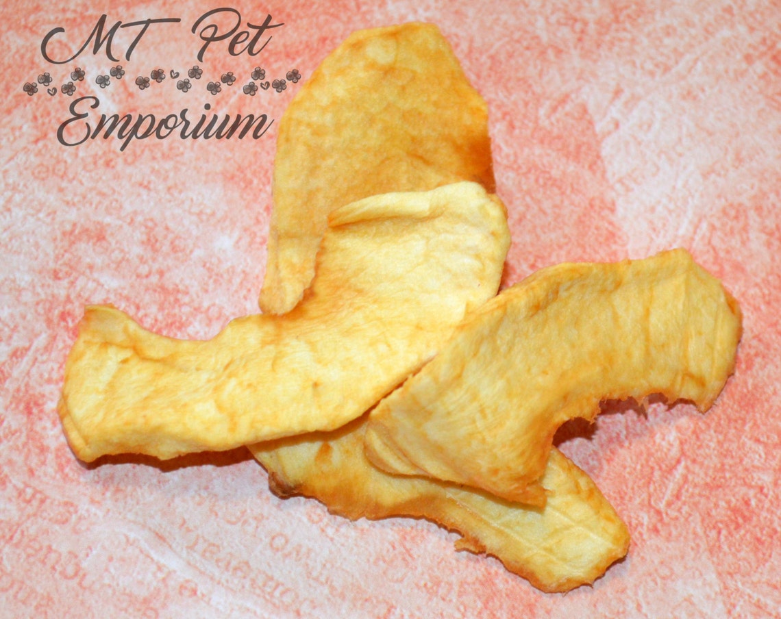 Apple Slices Hermit Crab Food - Etsy