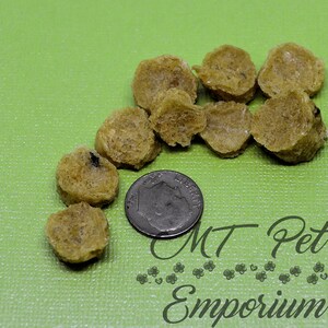 Mini Cod Chips Hermit Crab Food - Etsy
