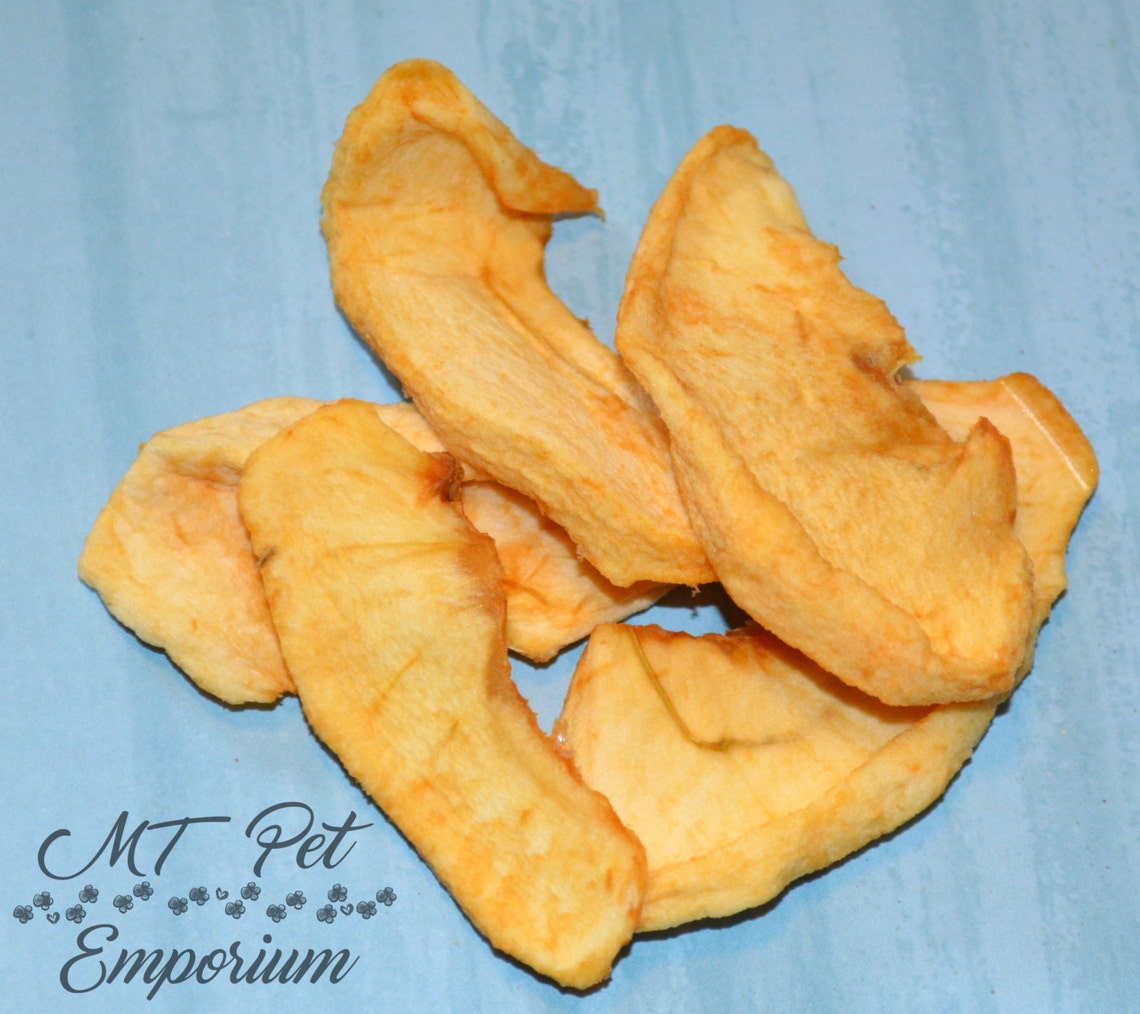 Apple Slices Hermit Crab Food - Etsy