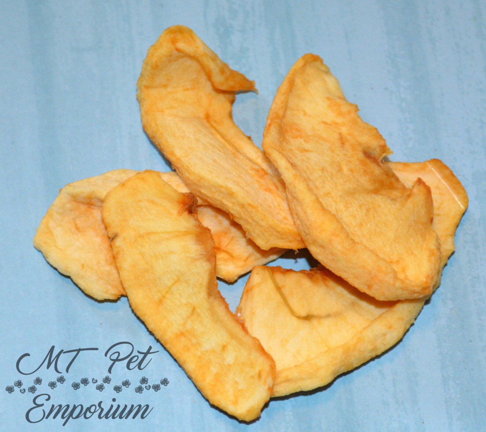 Apple Slices Hermit Crab Food - Etsy