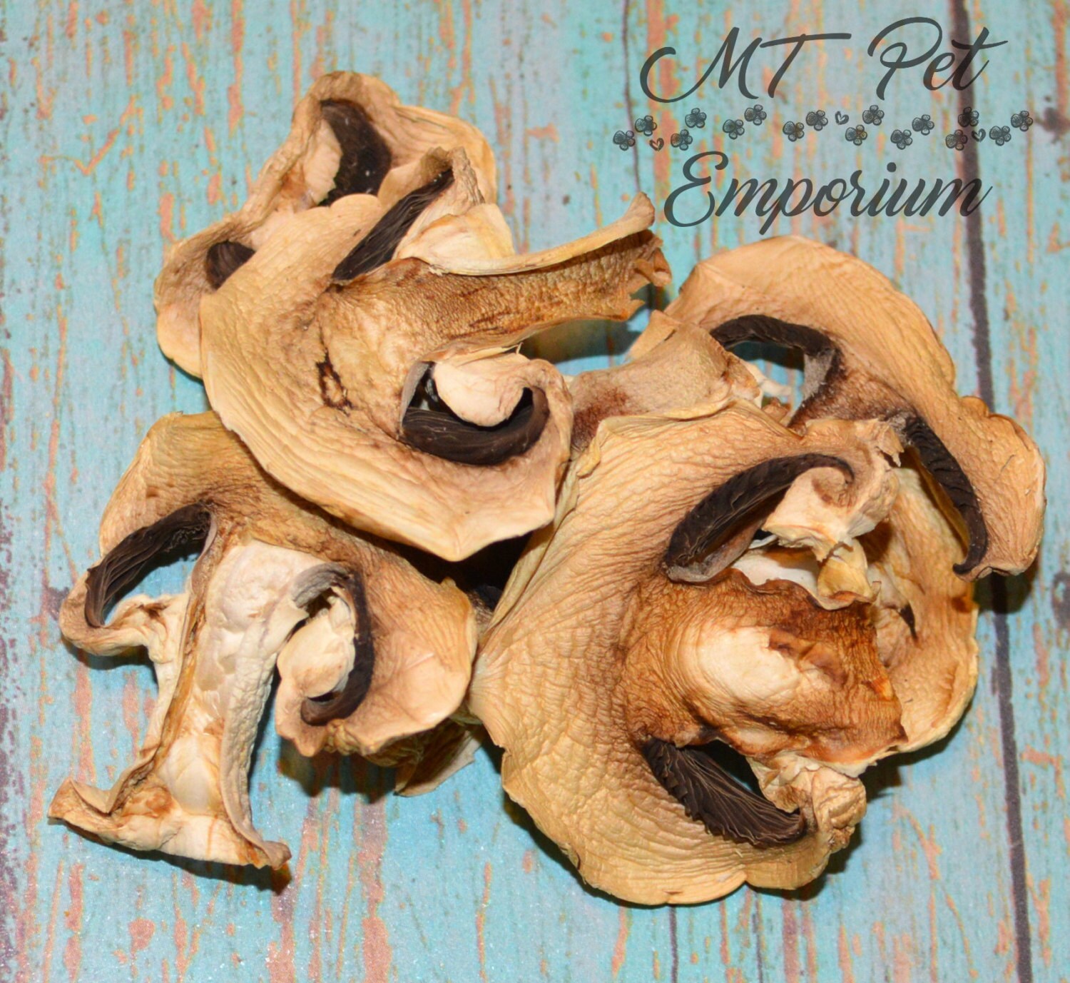 White Mushrooms Slices Hermit Crab Food | Etsy